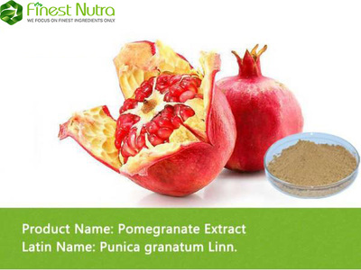 Pomegranate Extract - Ellagic Acid & Punicalagins - 西安博润生物科技有限公司